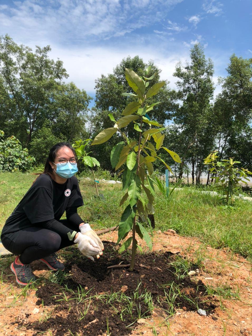Planting Trees with Community Leadership Module - The College of Alice ...